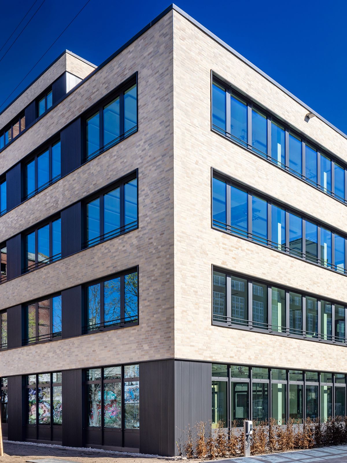 Quantum | LEO & ALEX